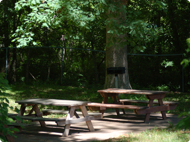 picnic-1 | Ravensworth Farm Pool