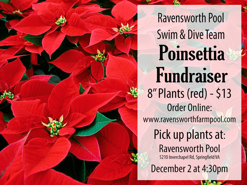 poinsettia-fundraiser-homepage | Ravensworth Farm Pool